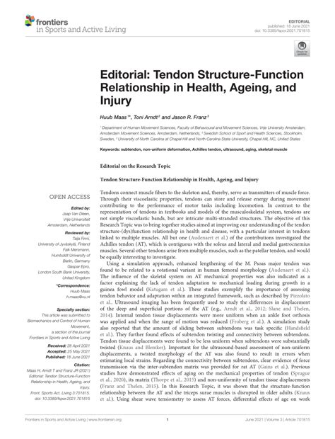 Pdf Editorial Tendon Structure Function Relationship In Health