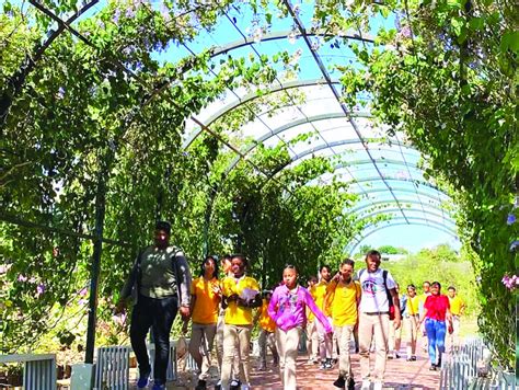 El Botánico De Santiago Un Oasis De La Biodiversidad Acción Verde