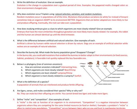 Unveiling The Macromolecules Webquest Unlocking The Answer Key