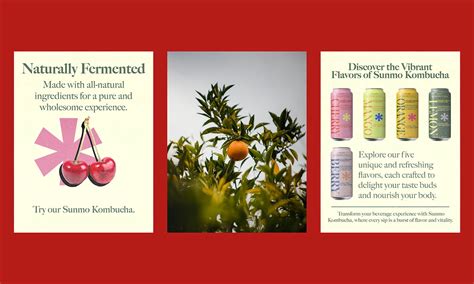 Sunmo Kombucha Brand Identity And Packaging Design Behance
