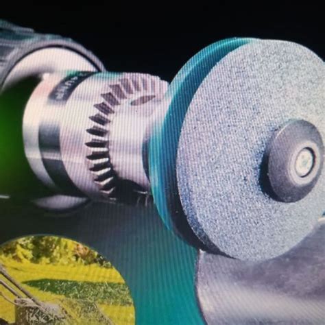 Muruniiduki Tera Teritaja 208100135 Ostaee