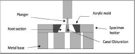 Schematic Illustrates The Push Out Testing Download Scientific Diagram