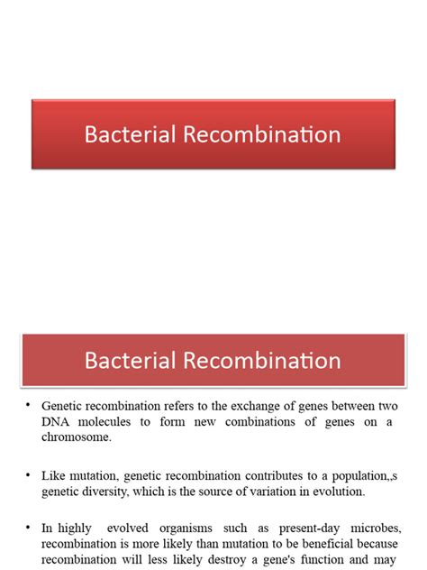 Bacterial Recombination Pdf Bacteriophage Transformation Genetics