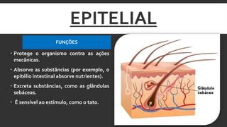 Histologia Ppt