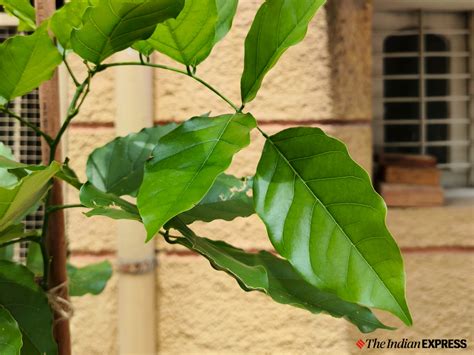 Infinix Gt Pro Review A Gaming Phone With Unique Cooling Solution That Works Technology