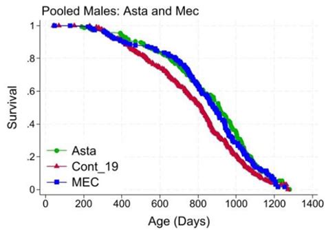 Astaxanthin And Aging Surface Your Real Self
