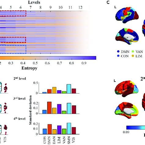 Heterogeneity Of Entropy In The Seven Subsystems A Entropy Involves Download Scientific
