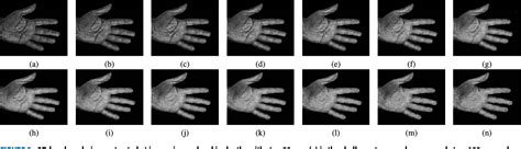 Figure 2 From Multimodal Biometric Recognition Based On 3d Ultrasound