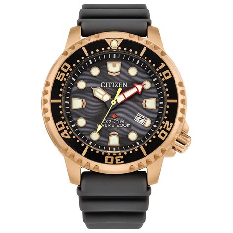 Citizen Promaster Dive Eco Drive Watch 3 Hand Date Iso