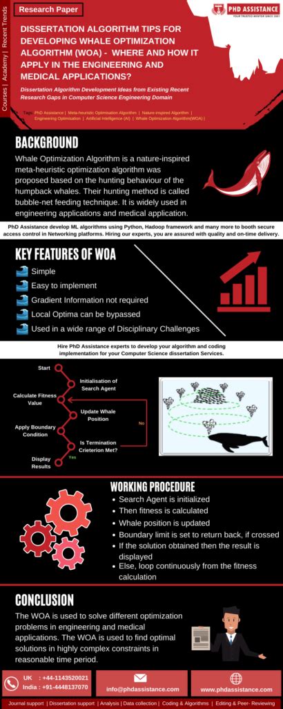 Algorithm Development Tips For Developing Whale Optimization Algorthim WOA Phdacademy