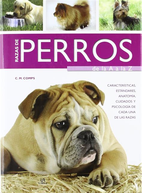 Razas De Perros De La A A La Z Características Estándares Anatomía