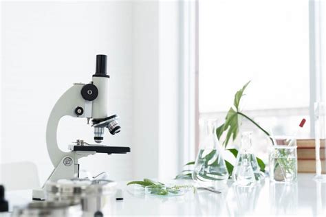 Primary Tuberculous Complex Soft Feet