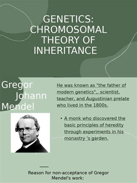 Genetics Chromosomal Theory Of Inheritance Pdf Philosophy