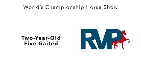 Wchs24 Class 185 Two Year Old Five Gaited Richfield Video Archive