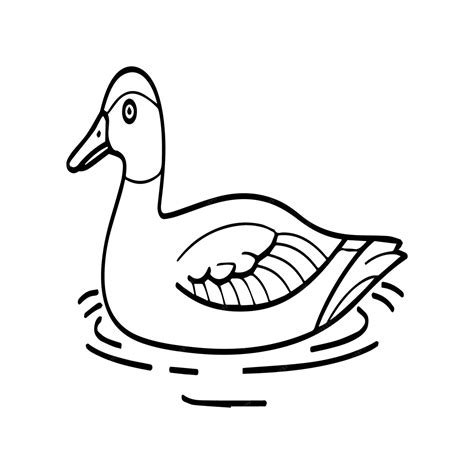 Premium Vector Duck Coloring Pages Duck Outline Vector For Coloring Book