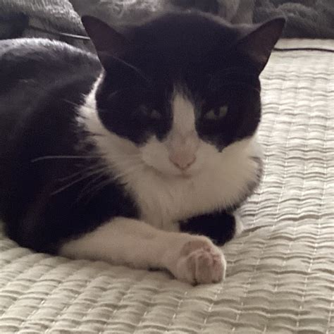 Cooper Schilling Youtube