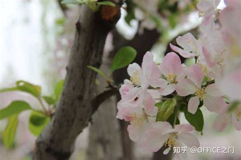 Eds 分析的数据如何处理和解读？ 知乎