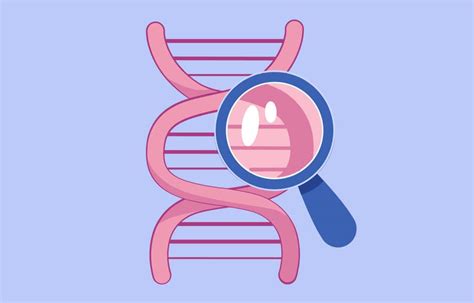 Genetic Testing Before Pregnancy Importance Types And Benefits For