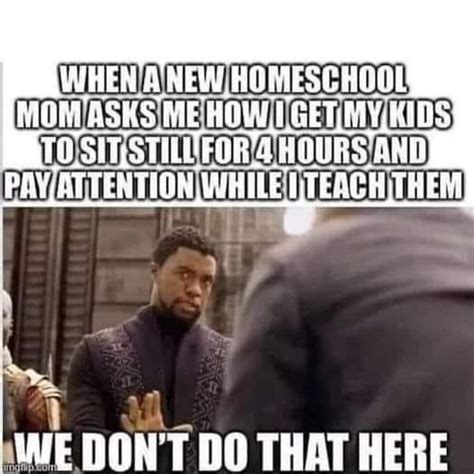 17 Homeschooling Memes Ideas In 2025 Relatable Homeschool Memes
