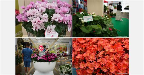 Van Uniform Tot Eetbaar