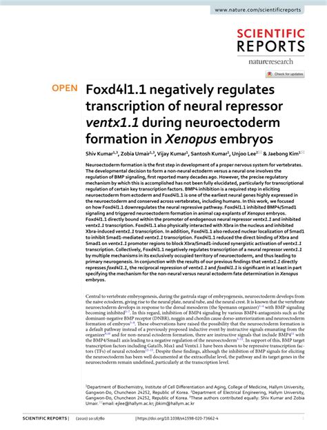 Pdf Foxd4l1 1 Negatively Regulates Transcription Of Neural Repressor Ventx1 1 During