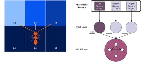 Figure 5 From Emergent Communication Enhances Foraging Behavior In Evolved Swarms Controlled By
