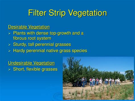 Ppt Orchard Sprayer Calibrations Grass Filter Strip Installations