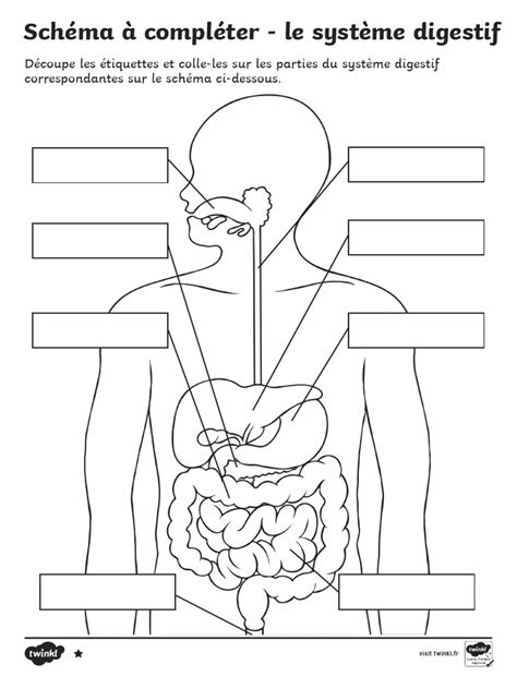 Fr T2 S 448 Schema A Completer Le Systeme Digestif Ver 2 Pdf