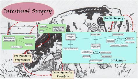 Group 3 Lab 9 Intestinal Surgery Spare