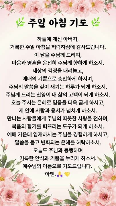 오늘의기도매일기도아침기도하루를 시작하는 기도새벽기도자기전에 드리는 기도밤기도하루를 마무리 하는기도묵상기도shorts Youtube