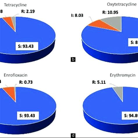 Percentage Of Antimicrobial Susceptibility Test On Isolates Producing