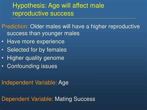 Ppt Insights Into Male Red Squirrels Reproductive Success Factors