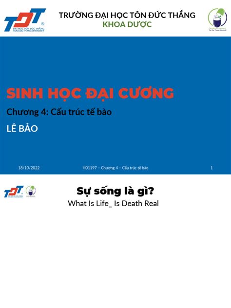 Shdc Chương 4 Pdf