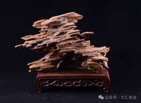 【南风之薰】从 蚌病成珠”到 木朽成香” 李荣