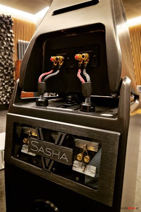 Kolumny Podłogowe Wilson Audio Sasha V Salon Poznań Wrocław Sklep