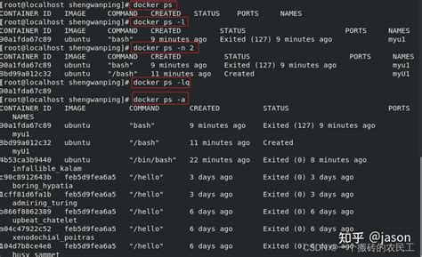 Docker常用命令 知乎
