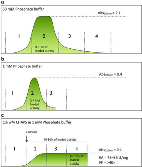 Hydrophobic Chromatography Of A Cell Bound Esterase Extract Isolated
