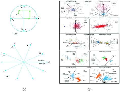 A Original Star Coordinate System With A Sample Of Point P Top And Download Scientific