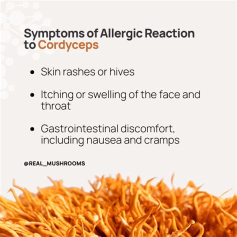 What Are The Side Effects Of Cordyceps Mushrooms Vlogger