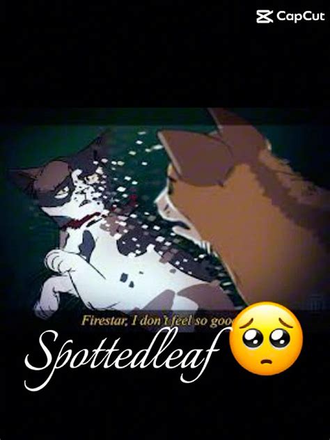 Spottedleaf Youtube