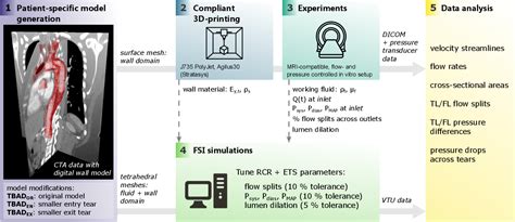 Figure 1 From Hemodynamic Effects Of Entry And Exit Tear Size In Aortic