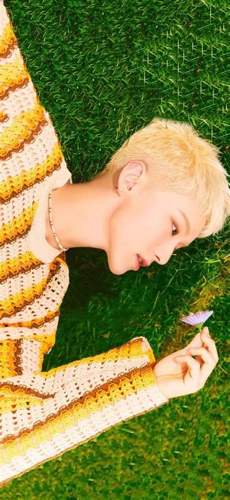 Hoshi Background Layar