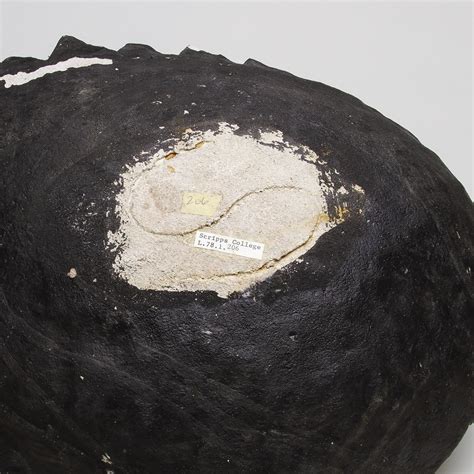 Siler The Marks Project