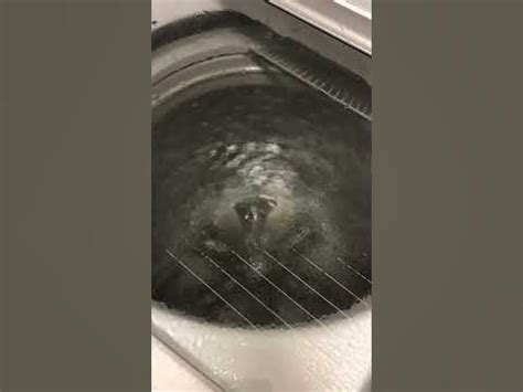 LG WT5070CW high pitch squealing - YouTube