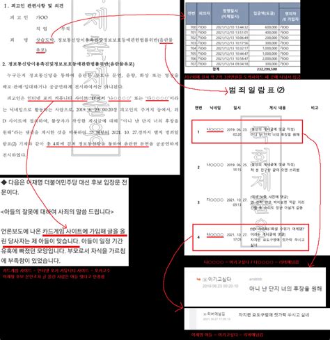 이재명 아들 이동호 군 범죄 관련 팩트체크 정치시사 에펨코리아