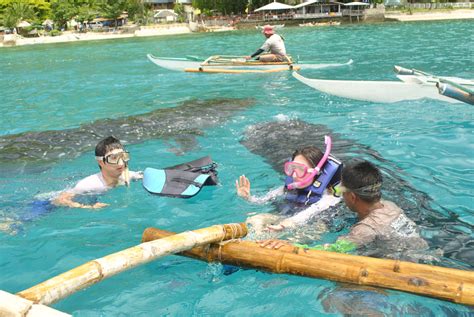보홀데이투어 대신 다녀온 세부 오슬롭 고래상어투어 세부시티투어세부골프여행세부고래상어투어세부마지막날세부골프투어세부자유여행오슬롭고래상어투어세부해양스포츠