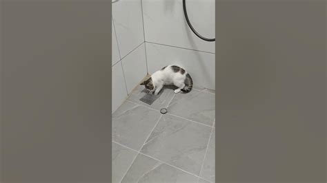 Chek Kontrolll Youtube