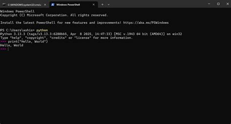 Python Code Execution Outshine Labs