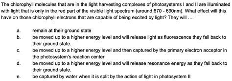 Solved Where In A Mitochondrion Is The Proton Gradient The
