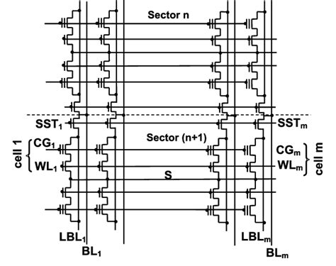 Schematic Layout Of A 2t Fn Nor Array Architecture Sst Indicates The Download Scientific